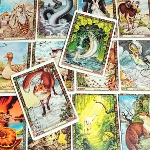 DRUID ANIMAL ORCLE cards
